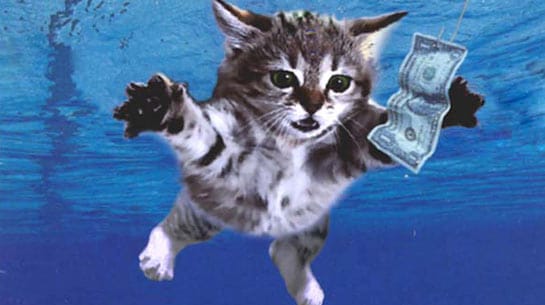 Les pochettes d'albums cultes mais avec des chats - KULTT