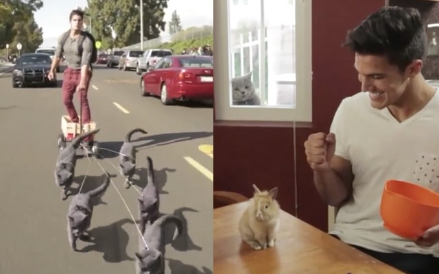 Les drôles de vidéos des animaux d'Aaron Benitez - KULTT