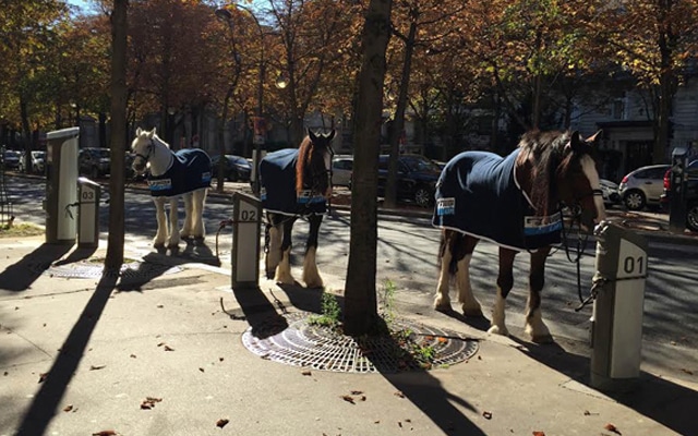 La chaine Equidia crée une station EquidiaLib' dans Paris - KULTT