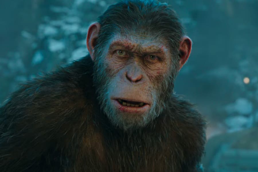 Un nouveau film "La Planète des singes" en préparation - KULTT