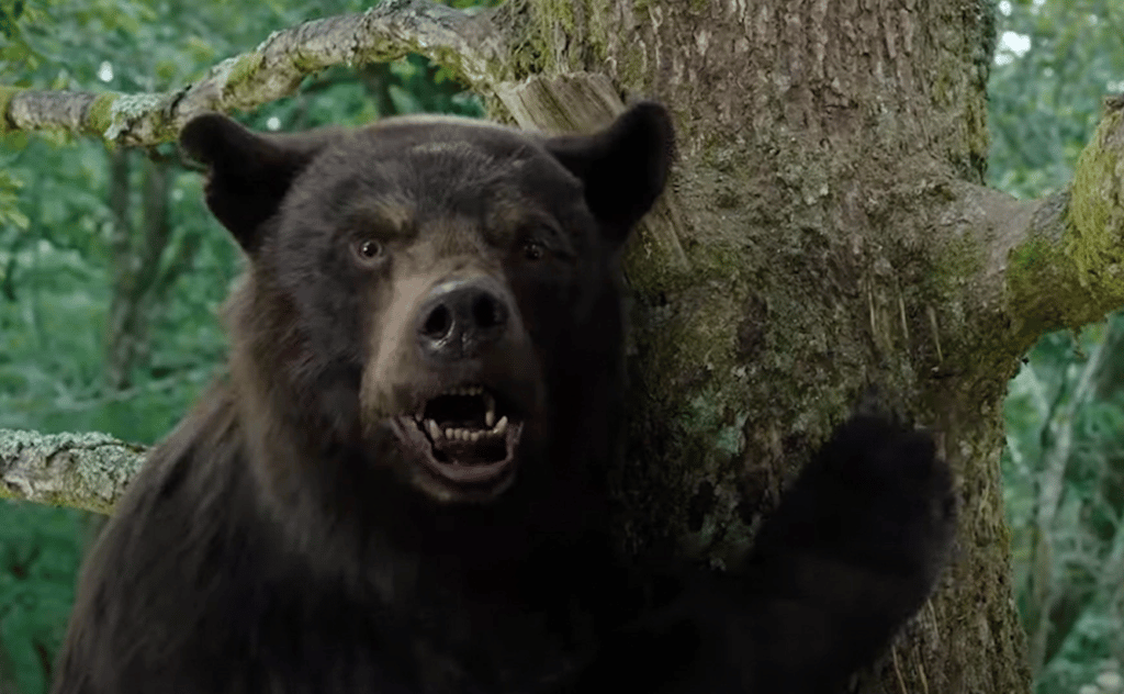 Cocaïne Bear : le film s’annonce déjà culte - KULTT